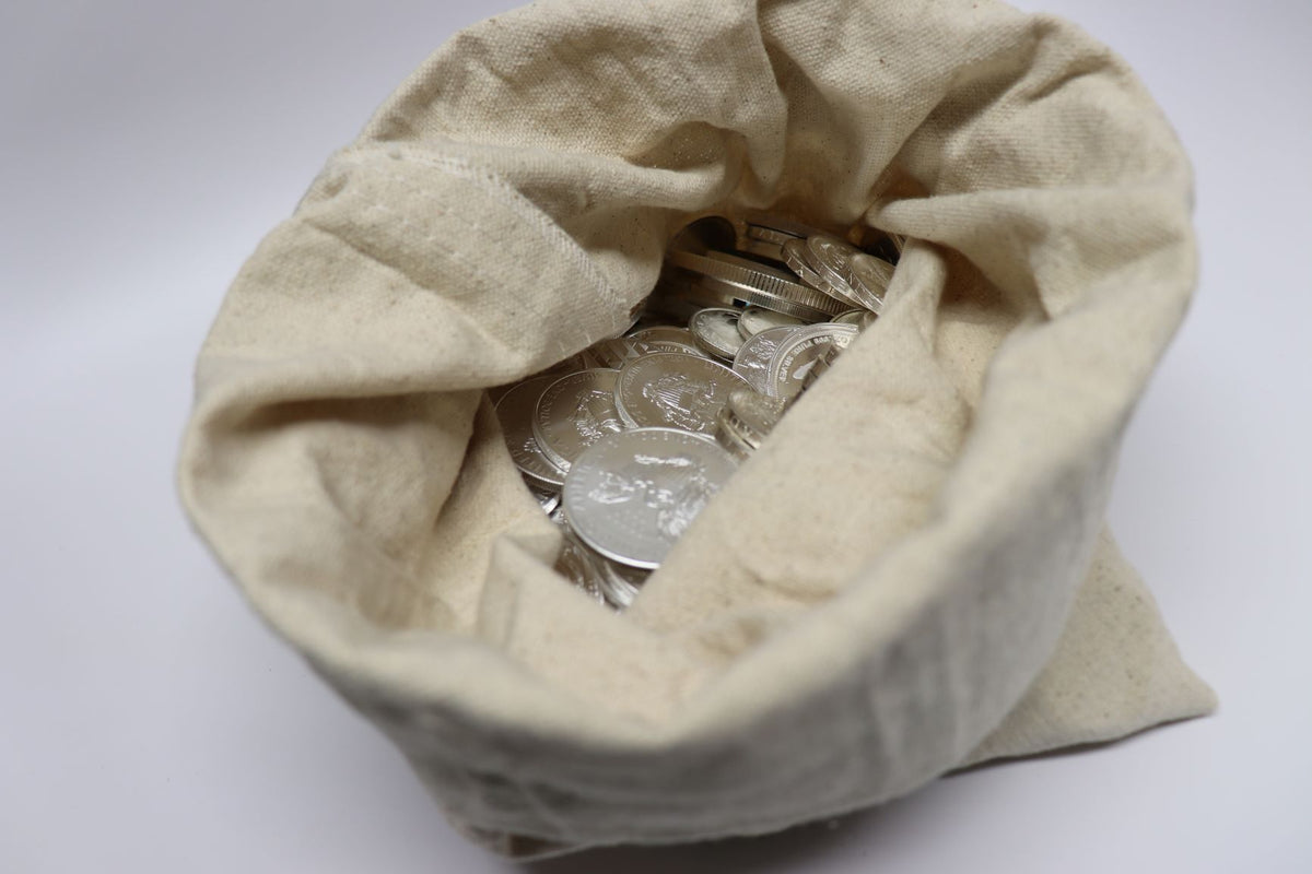 Canvas Bank Bags For Sale – IC INC